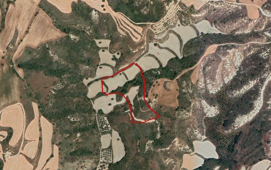 Steni, Pafos Agricultural Land For Sale | RM42091