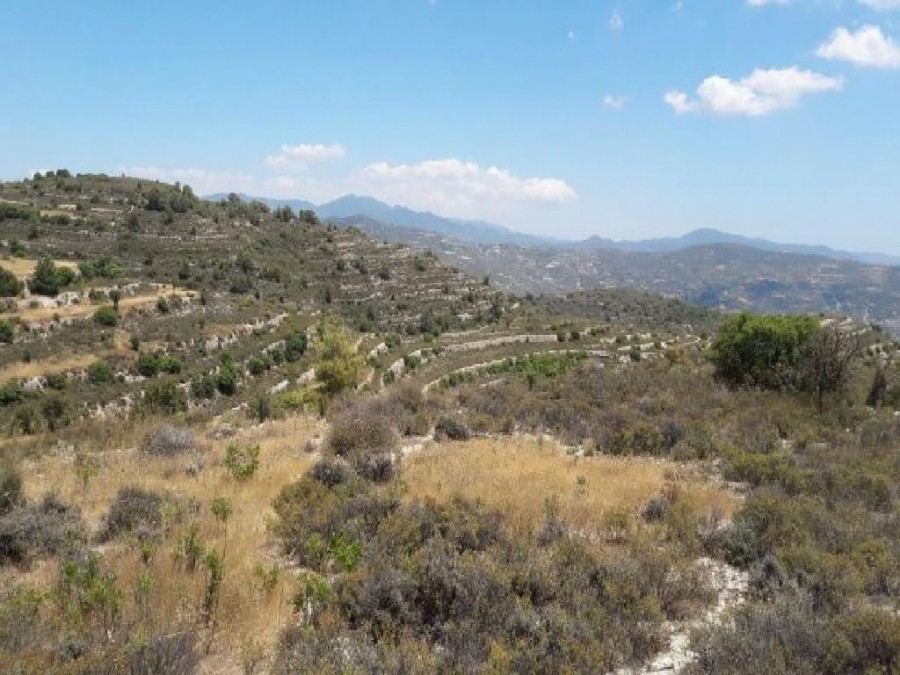 Silikou, Limassol Agricultural Land For Sale | L100574